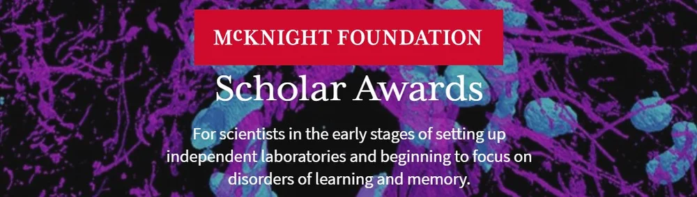 News — Orefice Lab