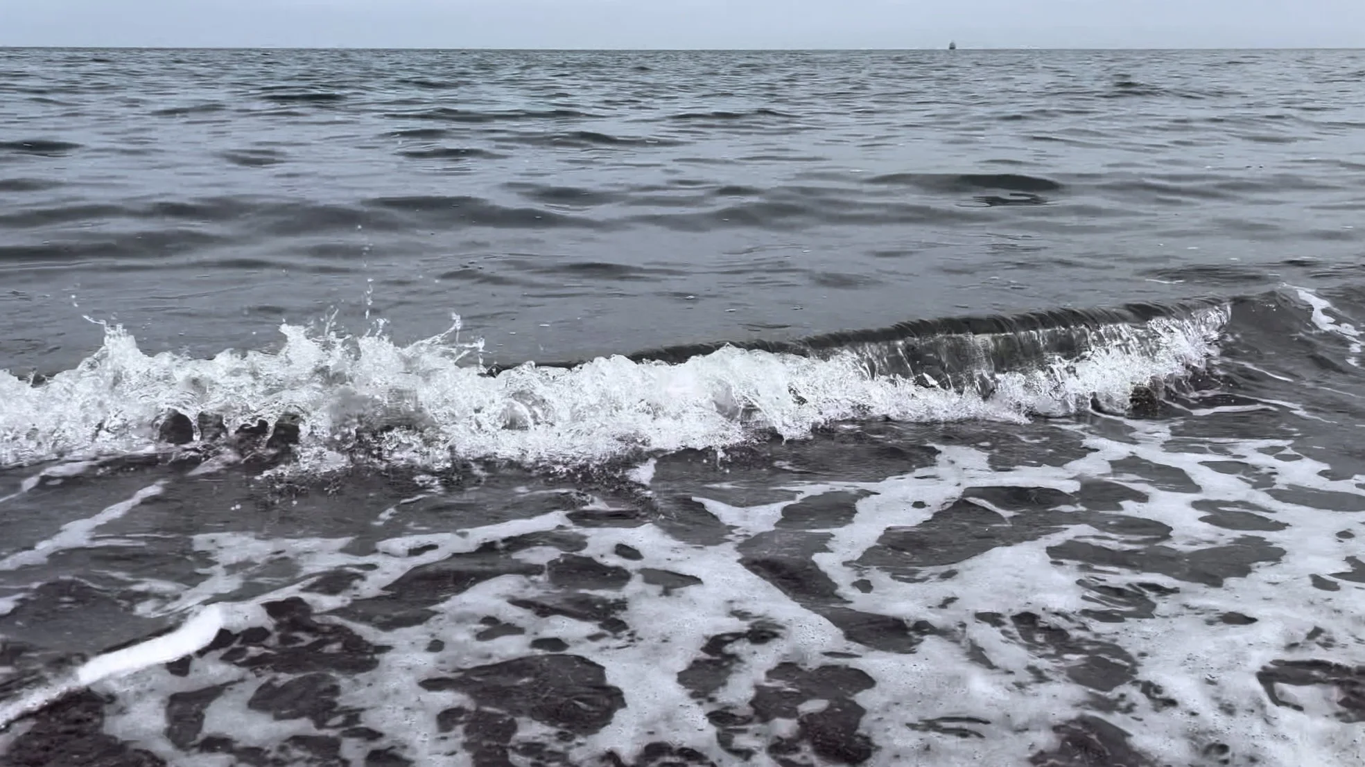 Bio — Leslie Stroz Art