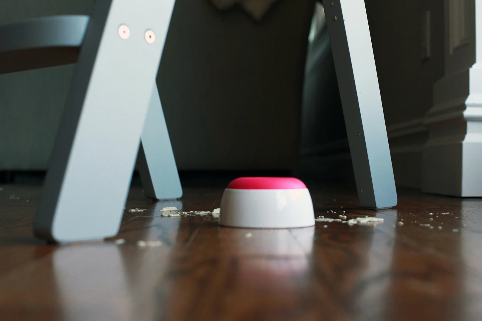 Baby's First Bites - Dish It Girl Recipe Box