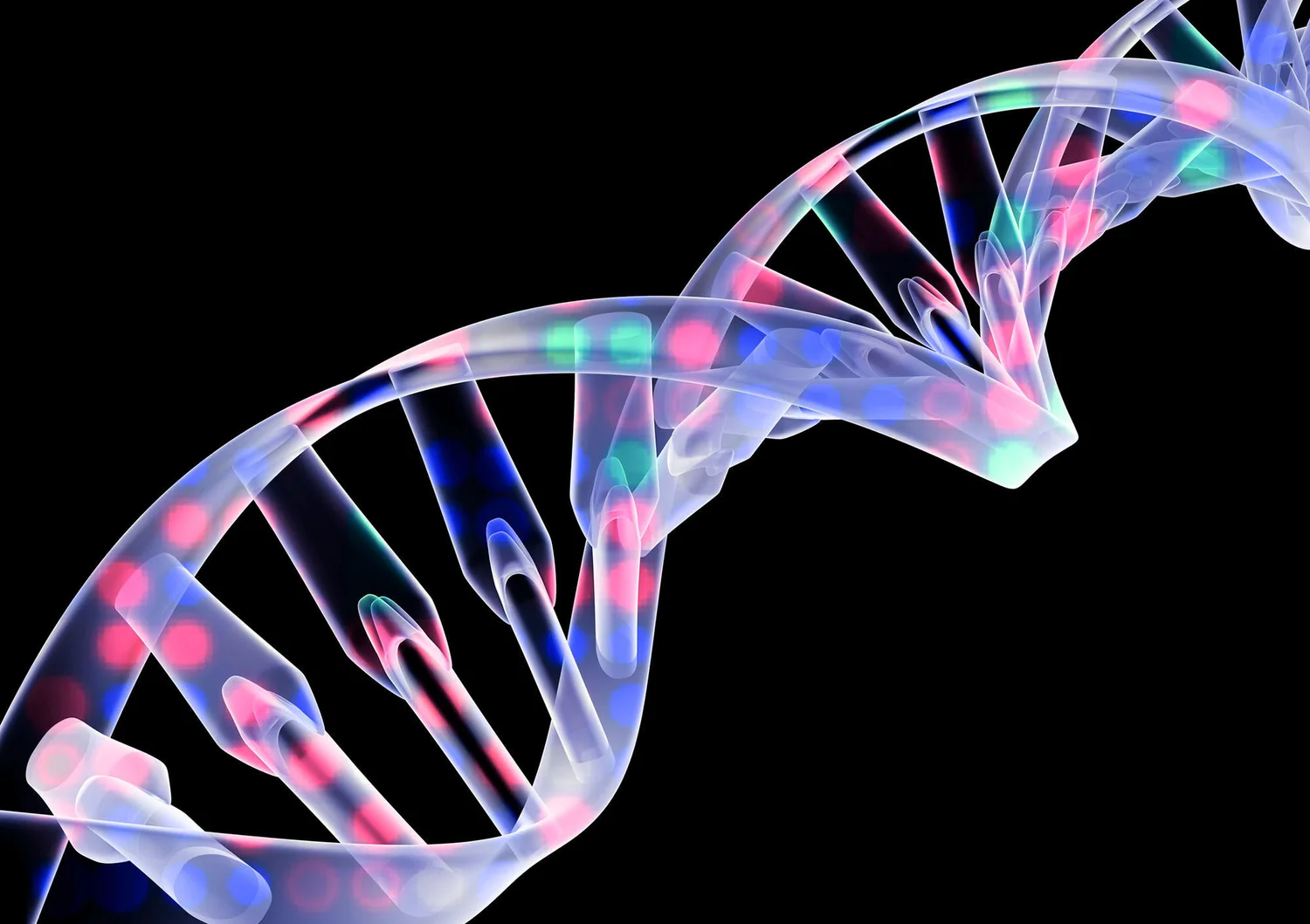 What is FOXG1 syndrome?