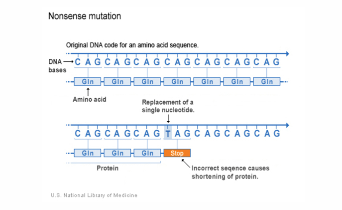 What is FOXG1 syndrome?