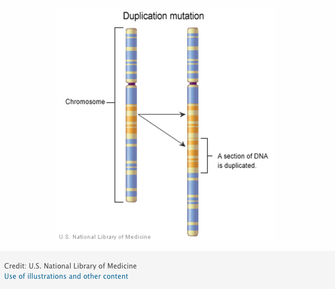 What is FOXG1 syndrome?