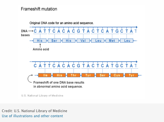 What is FOXG1 syndrome?