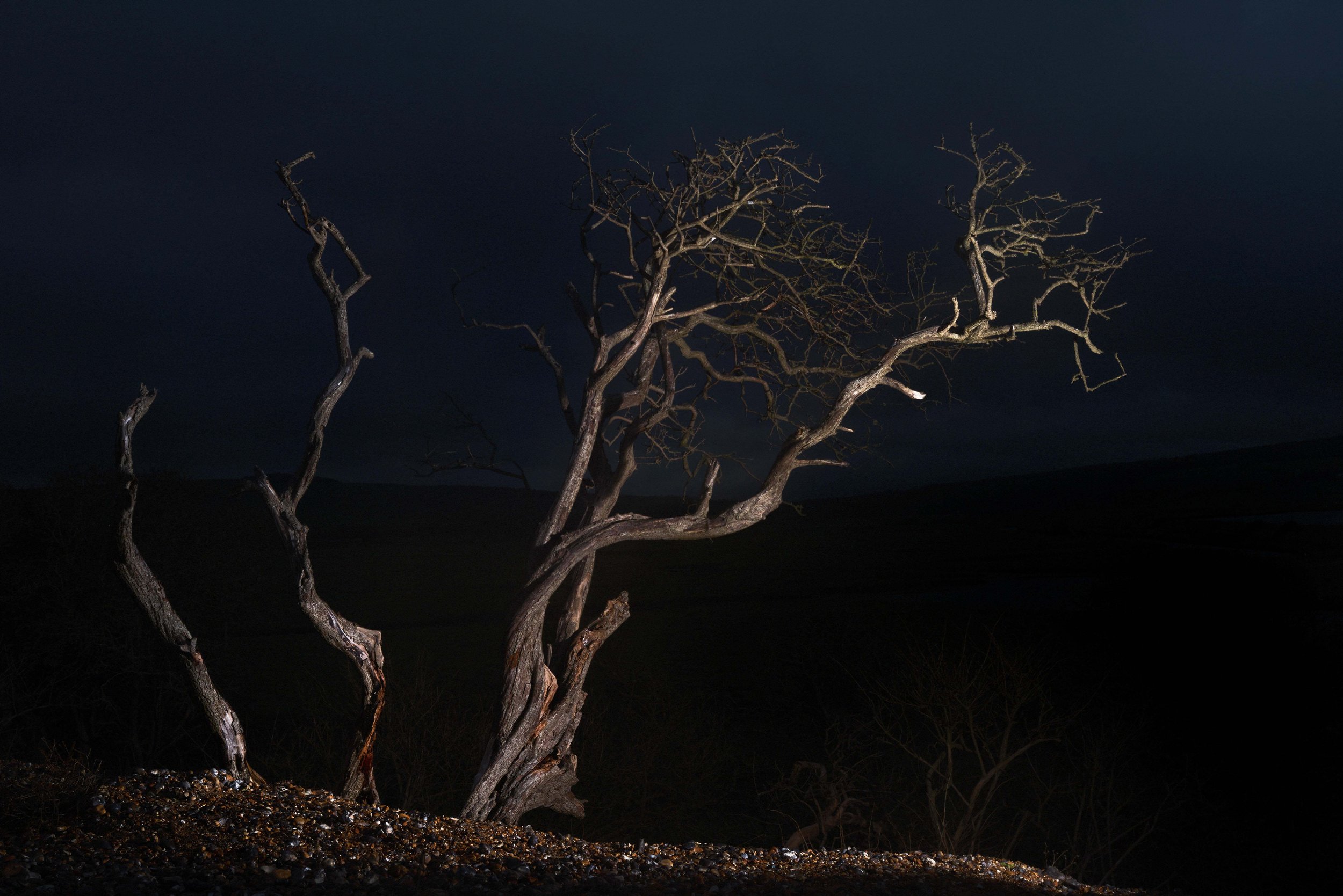 Harry Brayne Photography