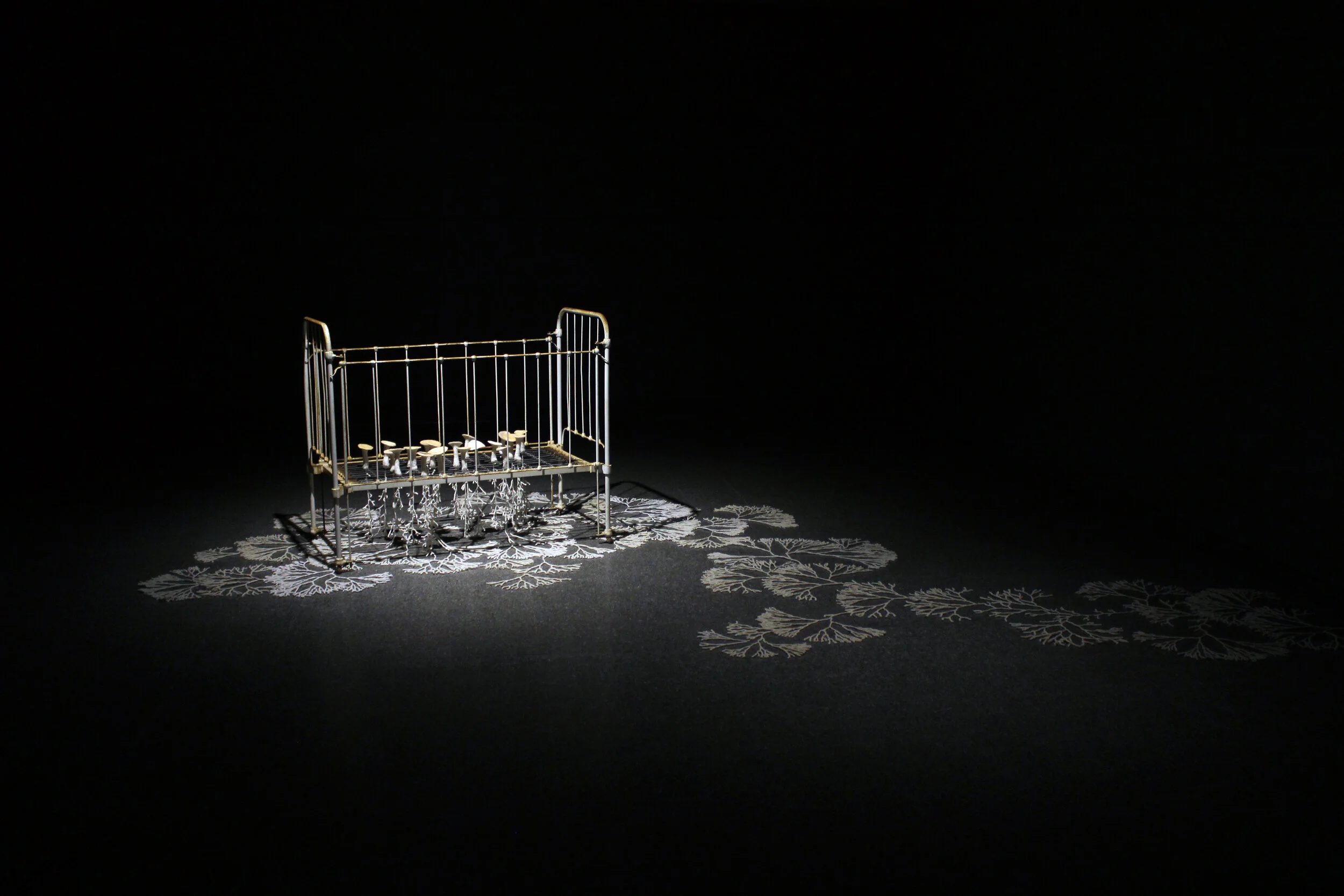 Fera Moira — Janice Wright Cheney