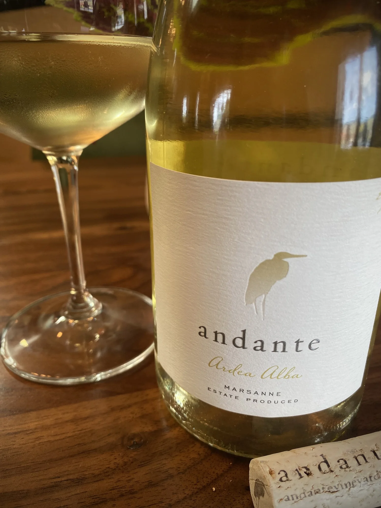 Vineyard — Andante Vineyard