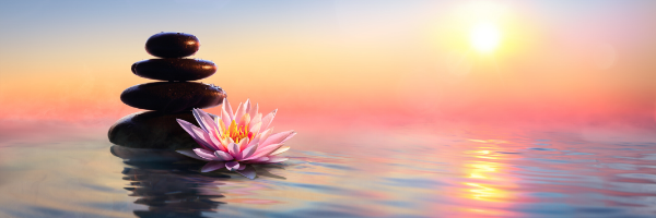 Harmonize Body, Mind, and Heart with This Guided Chakra Meditation ...