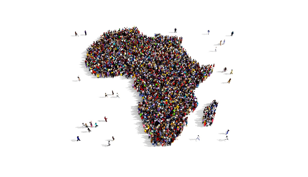 Postgrad Perspectives — Postgrad Solutions