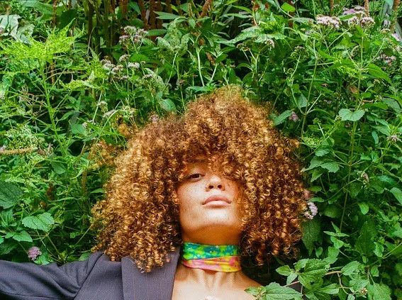 Mercedes — Dot Models