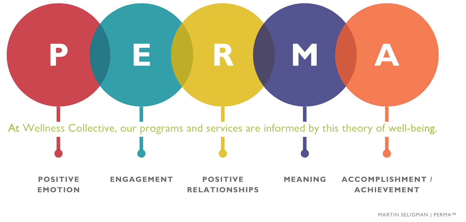 Who We Are & What We Do — Wellness Collective