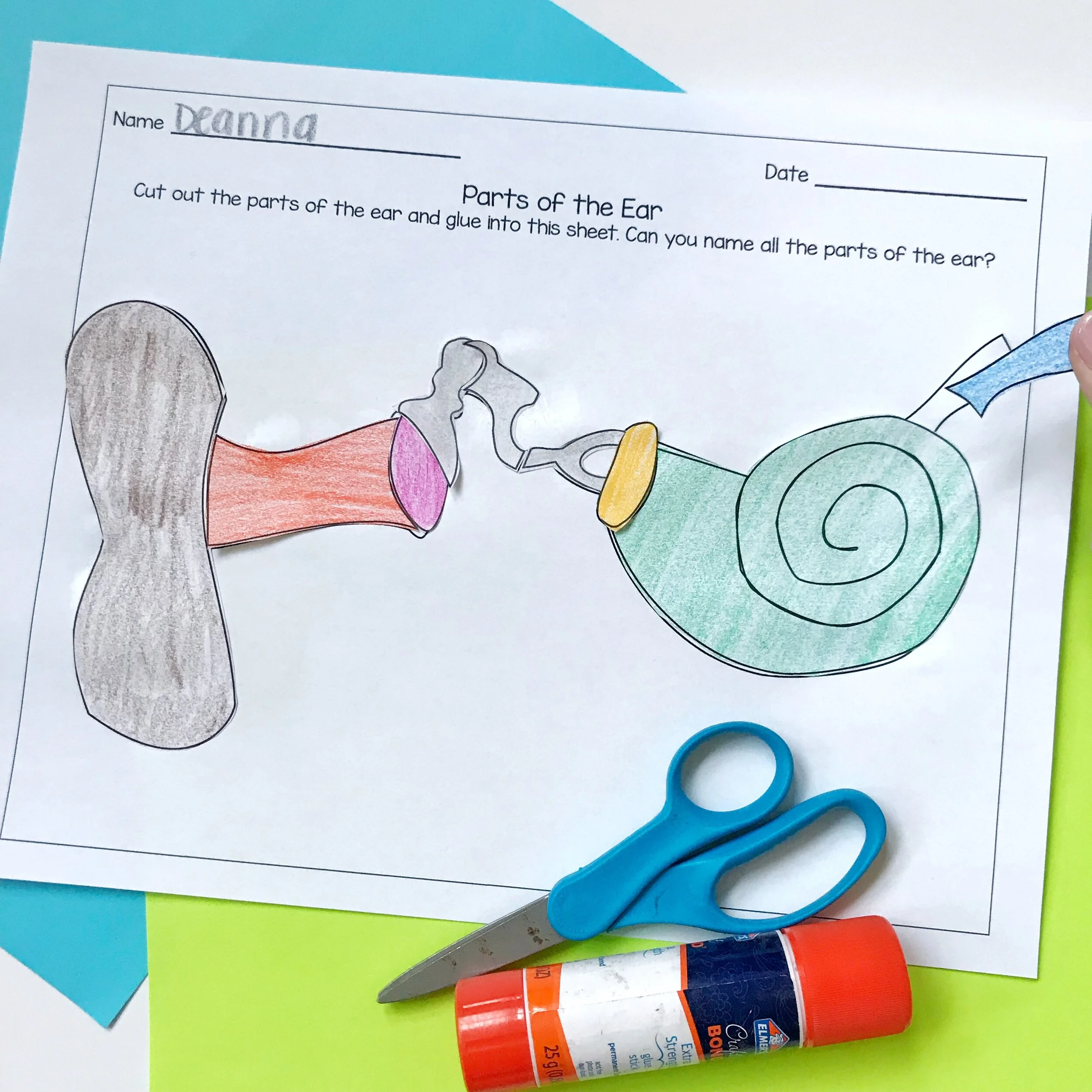 Teaching Parts Of The Ear How And Why Listening Fun