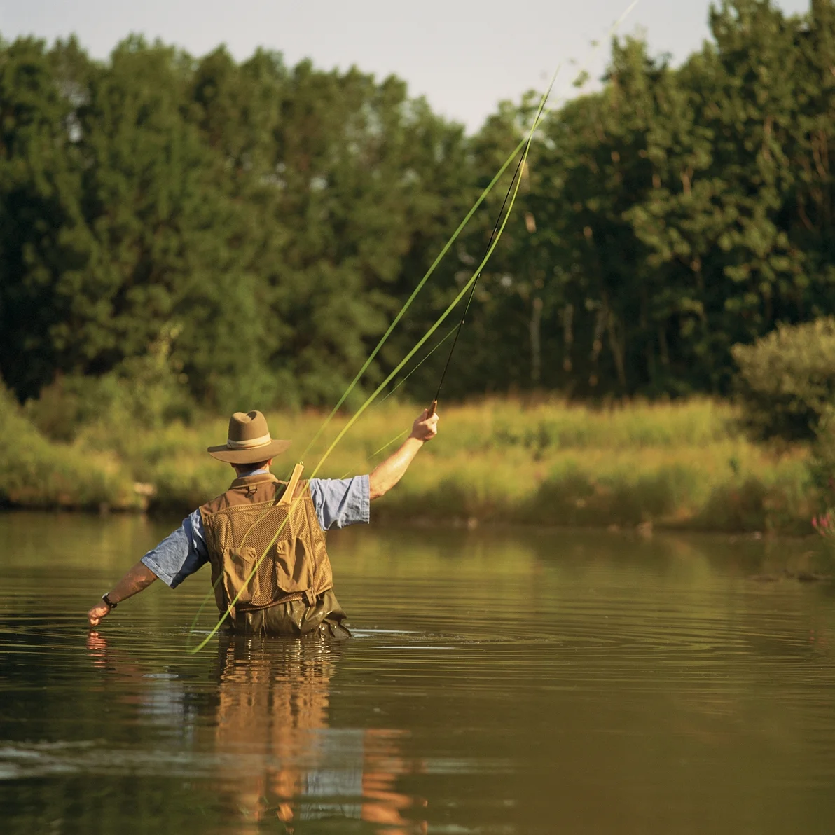 River Wildlife — Riverbend