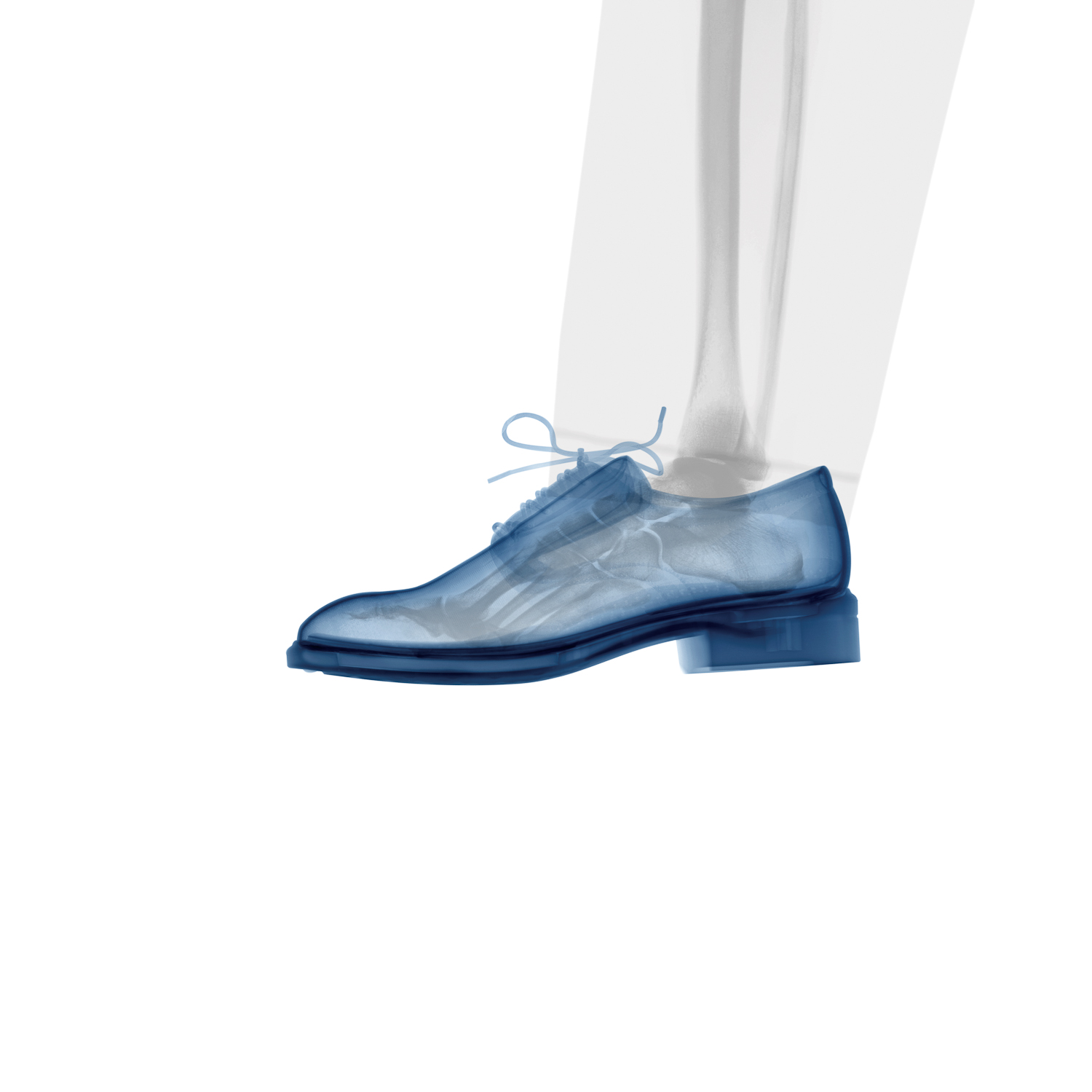 X-ray photography — David Arky Photography