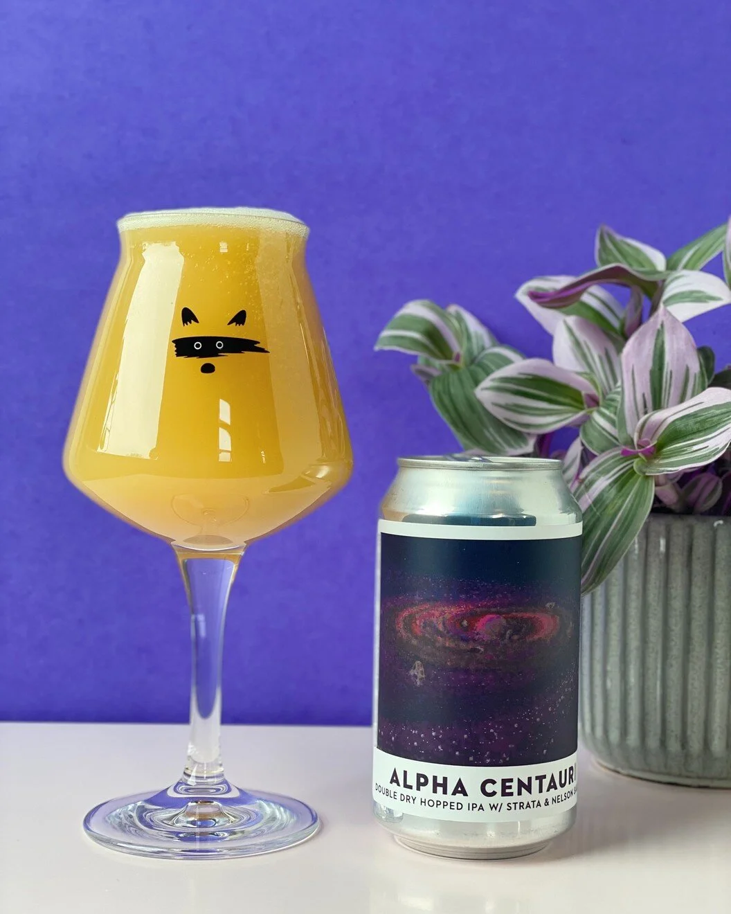 Beer — Bandit Brewery