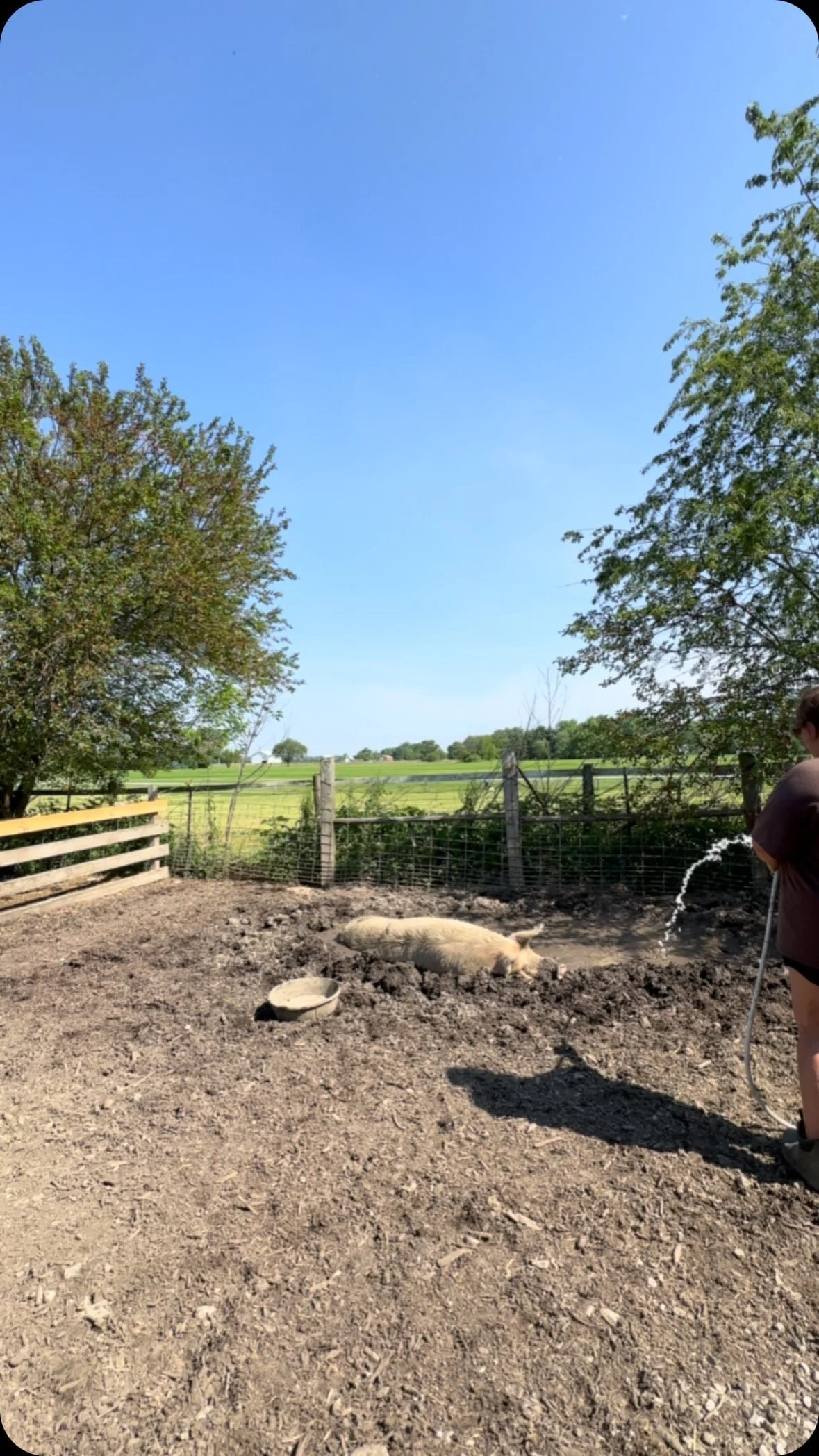 Stay Connected! — Oinking Acres Farm Rescue & Sanctuary