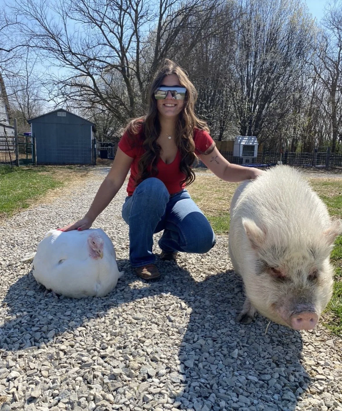 meet the team — Oinking Acres Farm Rescue & Sanctuary