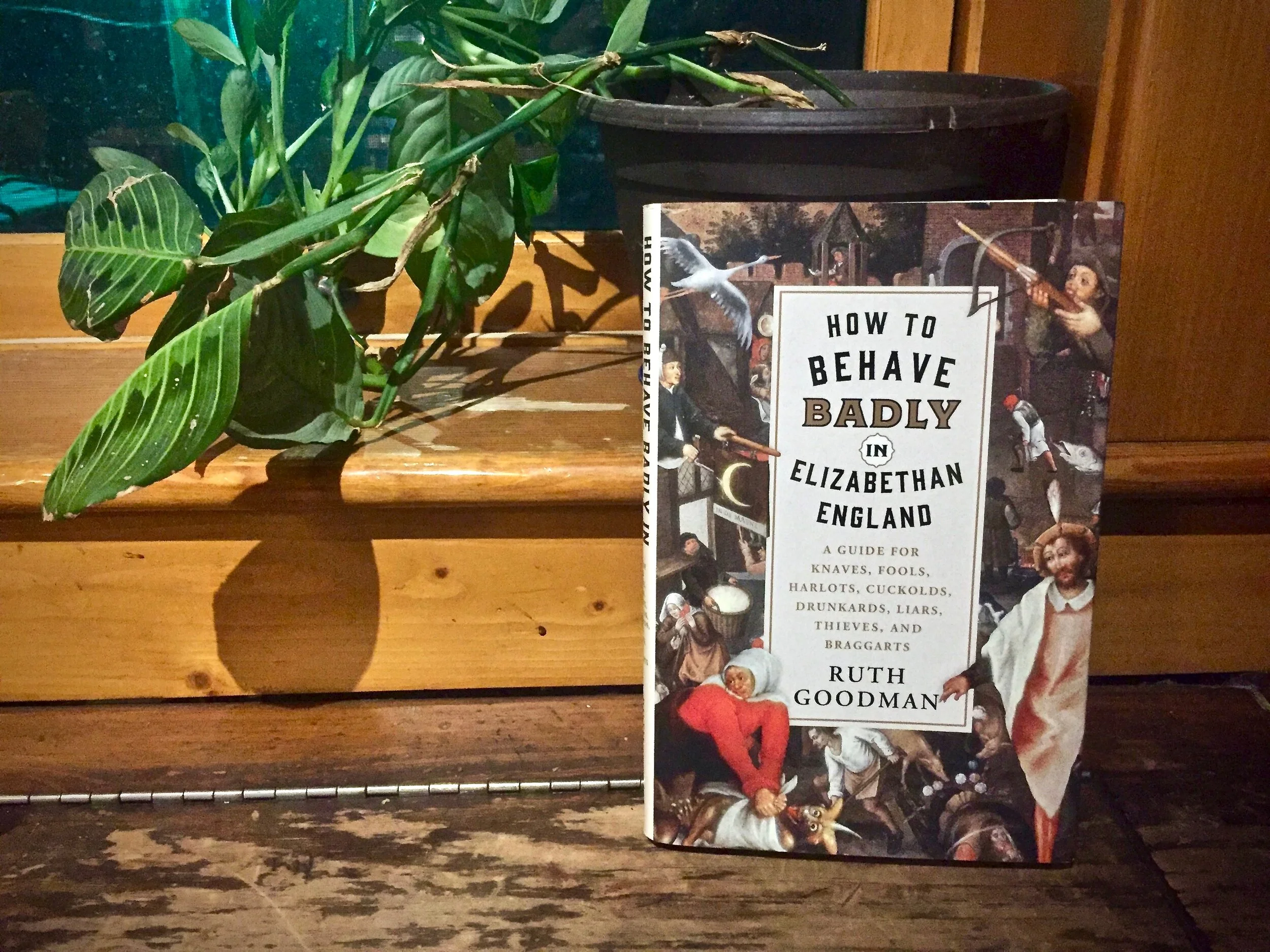 How to Behave Badly in Elizabethan England: A Guide for Knaves, Fools ...