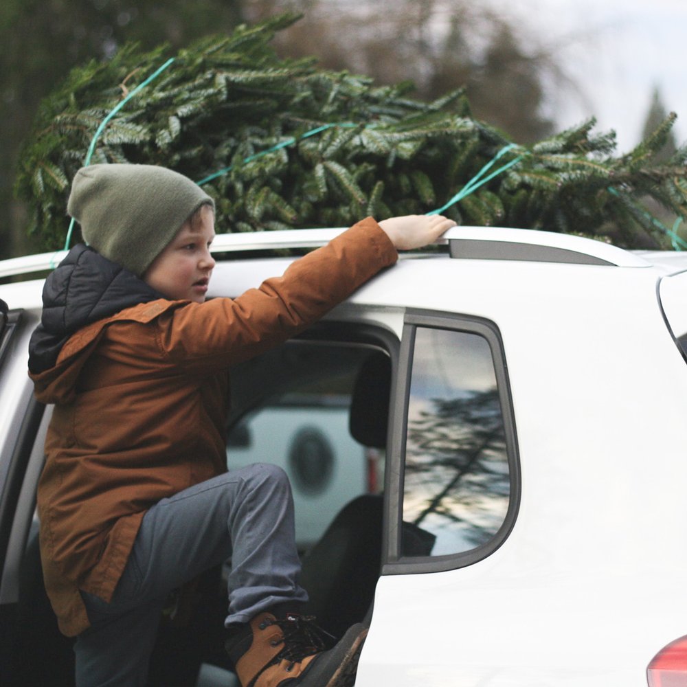 Page's Christmas Tree Farm