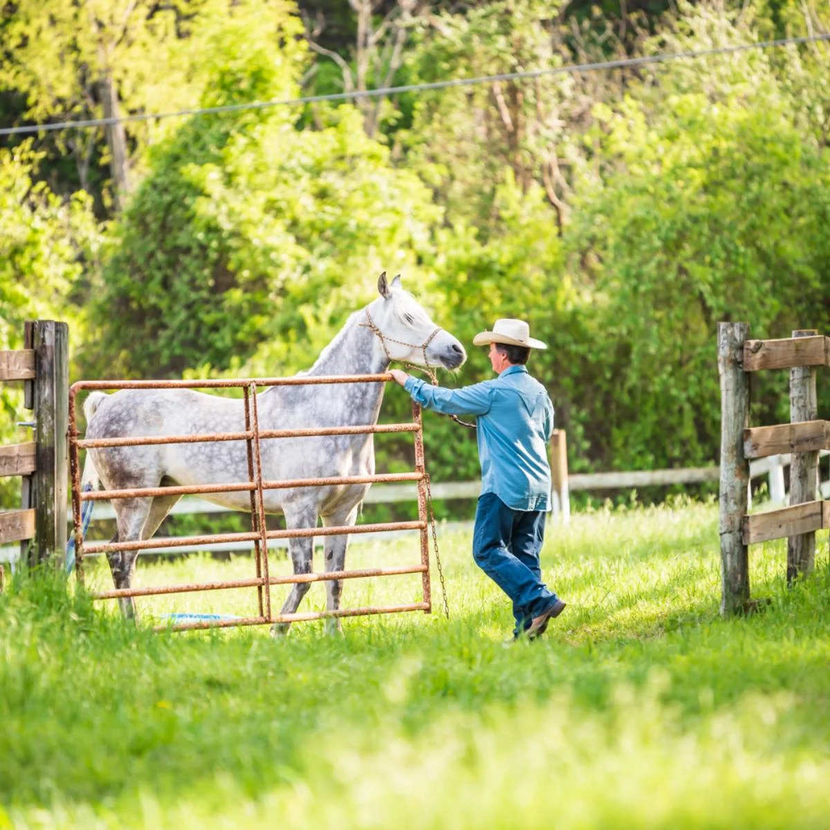 About + Locations — Tri-Star Farm
