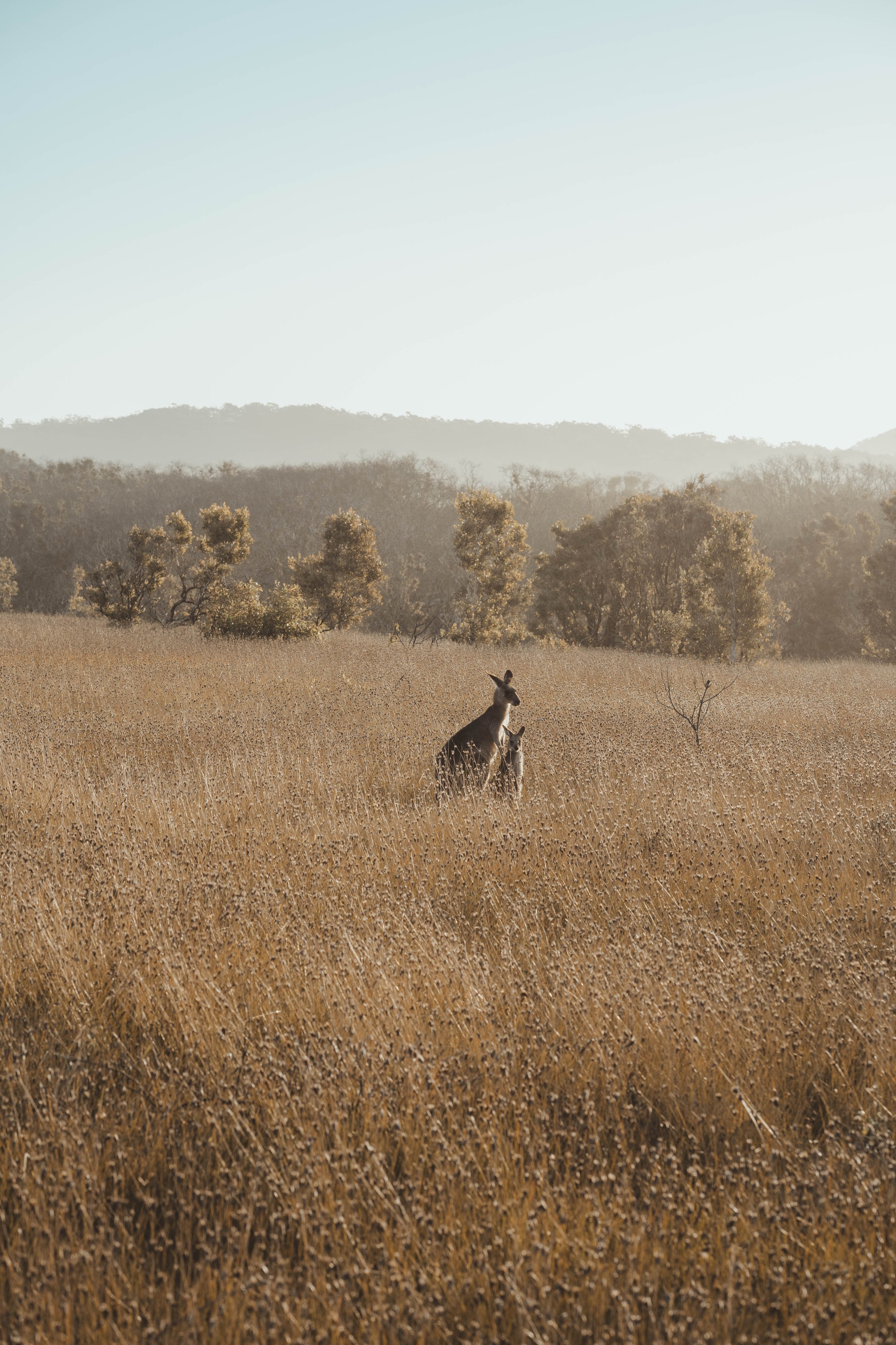 Tess Lehman print store Australian photography prints for your home ...