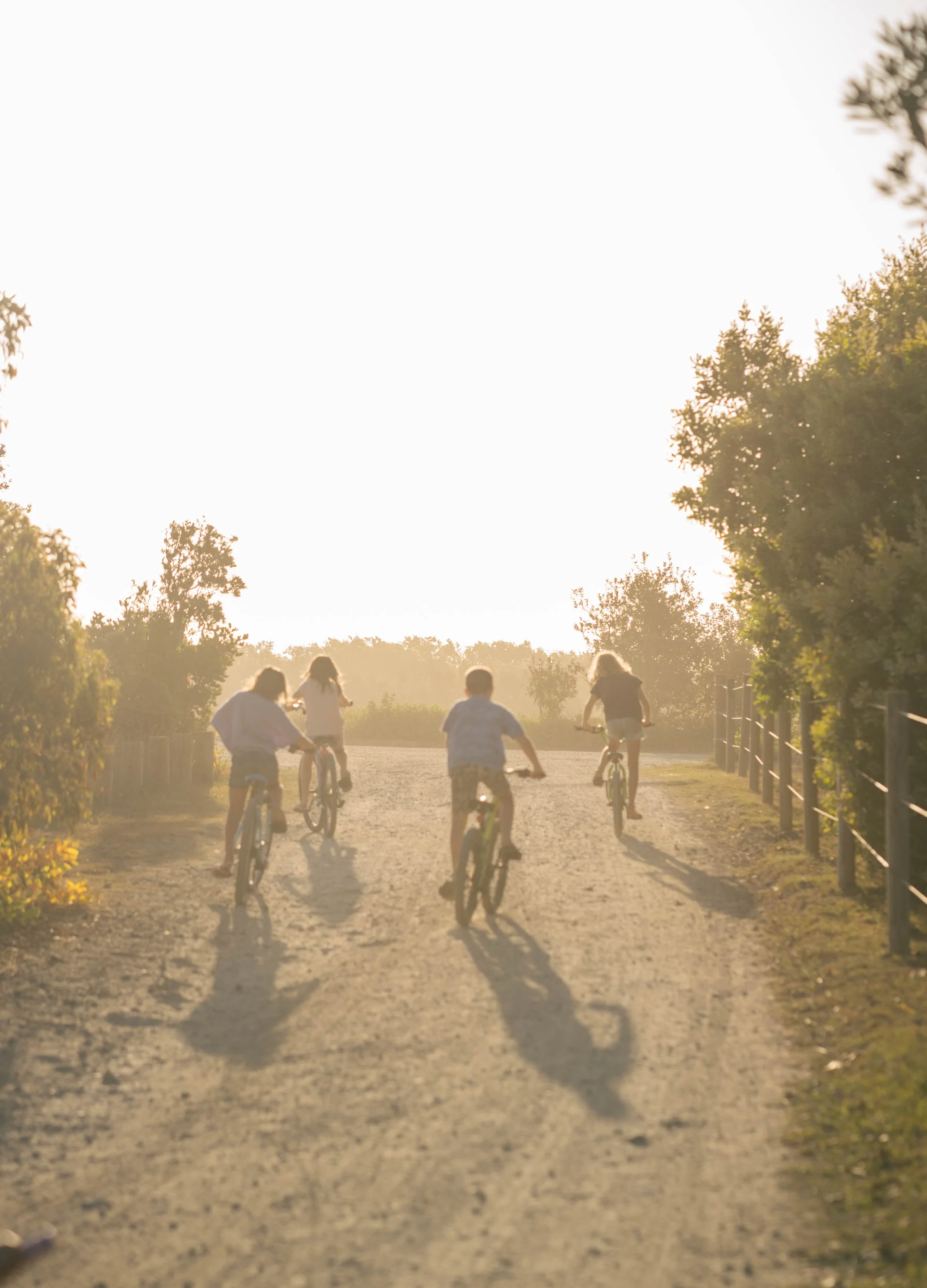 Tess Lehman print store Australian photography prints for your home ...