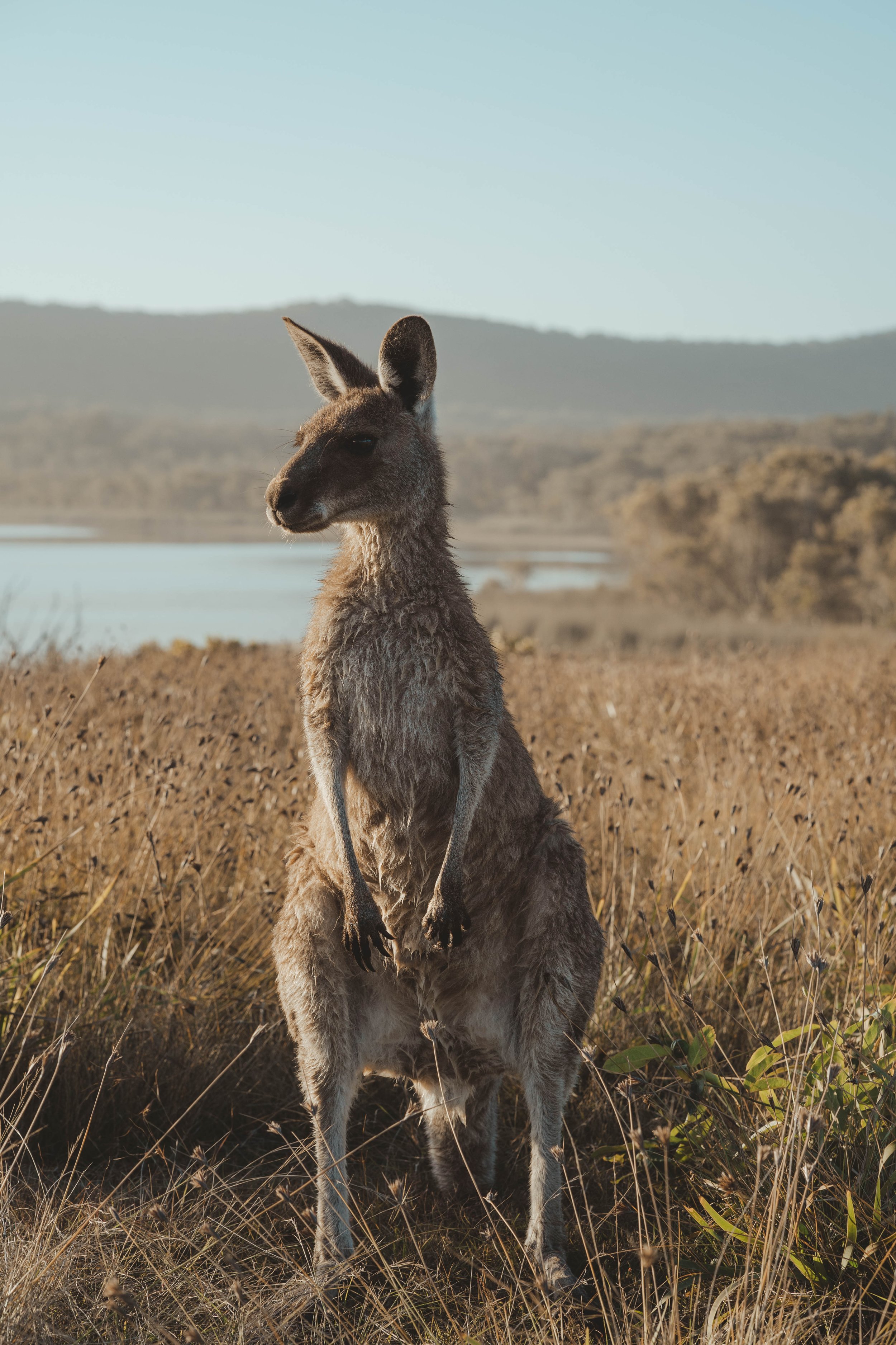Tess Lehman print store Australian photography prints for your home ...