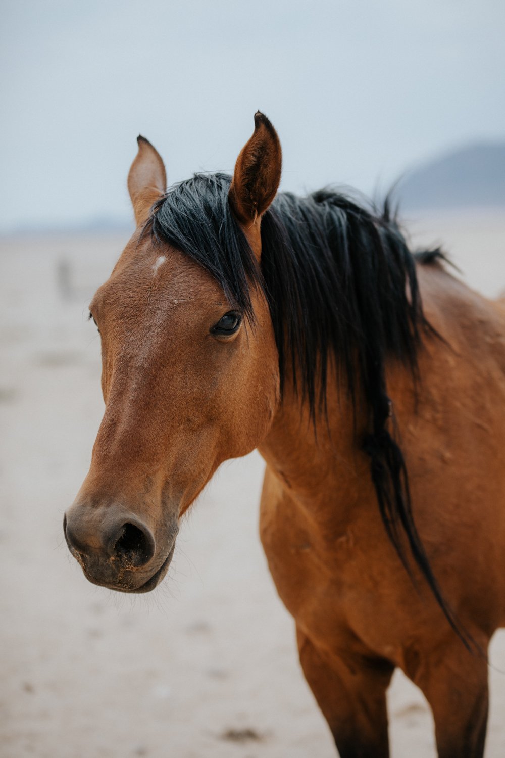Namibia - Roadtrip durch Namibias Süden — BERG ZU MEER