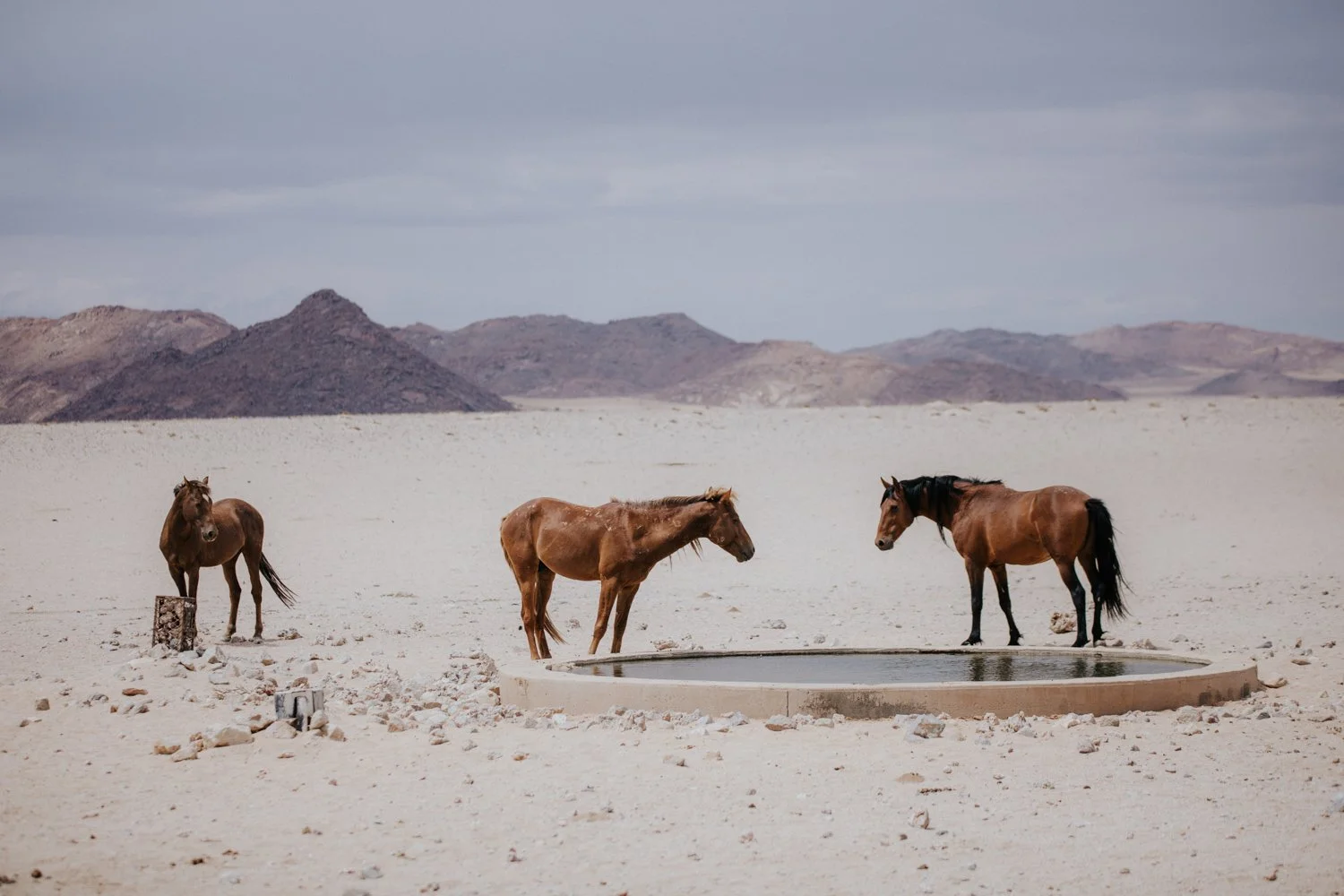 Namibia - Roadtrip durch Namibias Süden — BERG ZU MEER