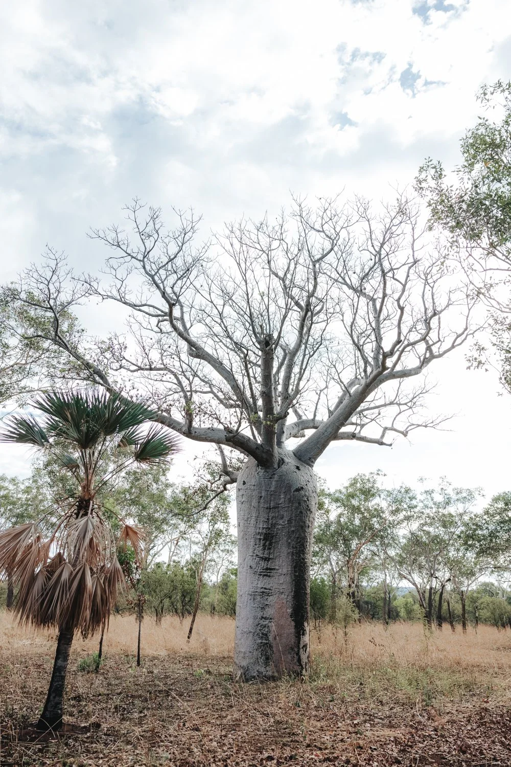 Roadtrip von Darwin bis nach Perth Teil 1 - Northern Territory — BERG ...
