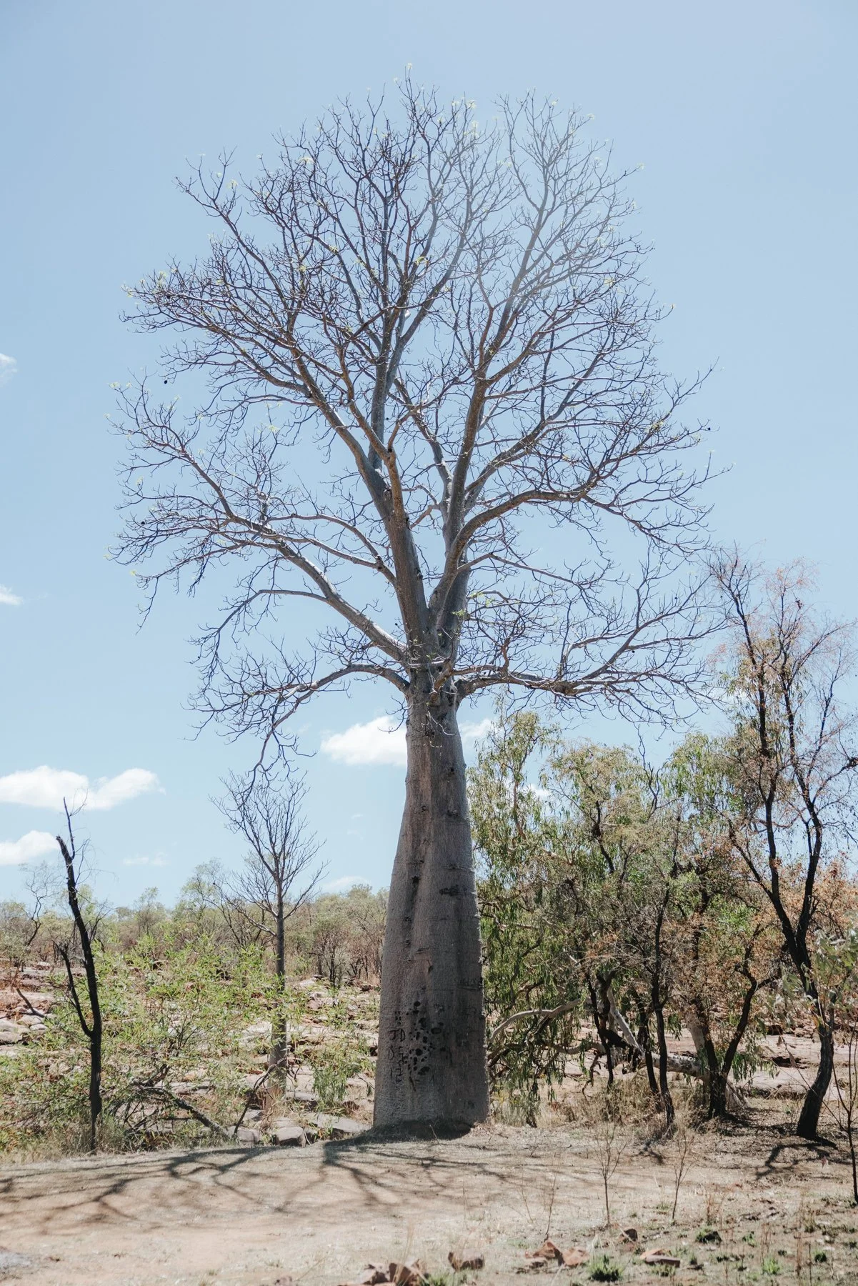 Roadtrip von Darwin bis nach Perth Teil 2 - Western Australia — BERG ZU ...