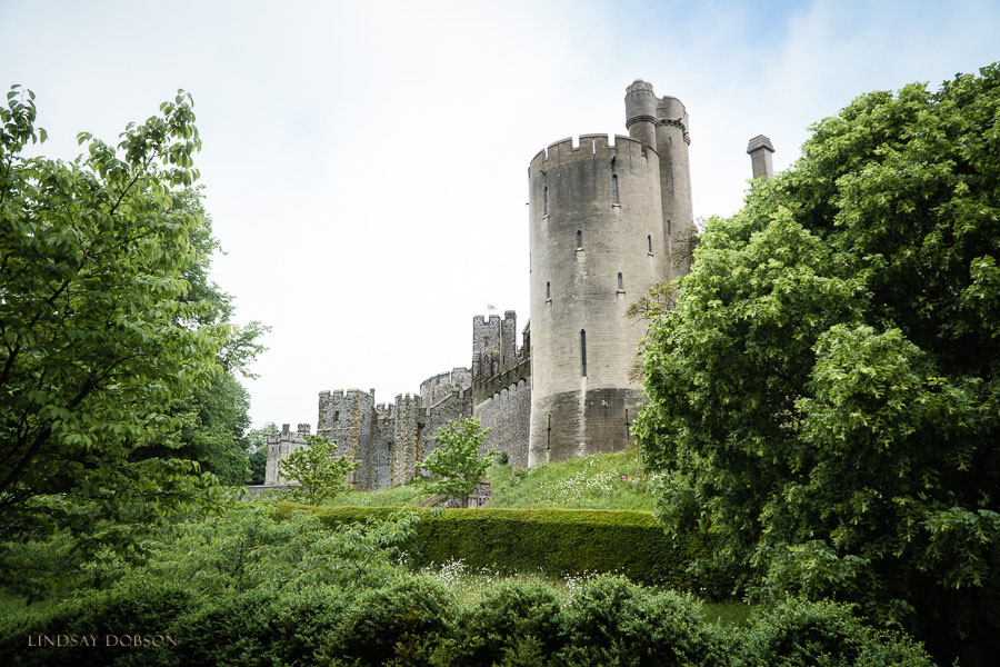 Portraits From The Seige Of Arundel Castle West Sussex Portrait Portraits From The Seige Of Arundel Castle West Sussex Portrait