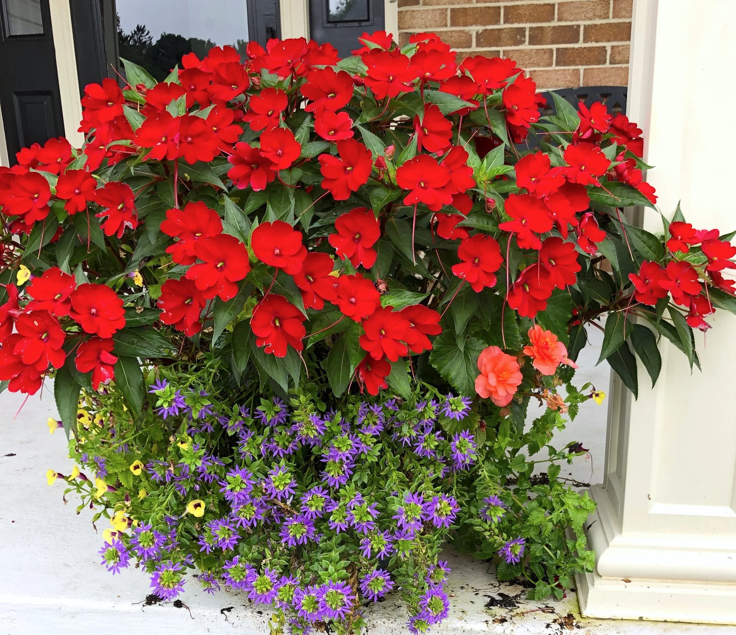 Inspiring container gardens, gorgeous planters for colorful outdoor ...