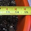 Measuring a Planter: Step by Step Instructions — Garden sPOTS