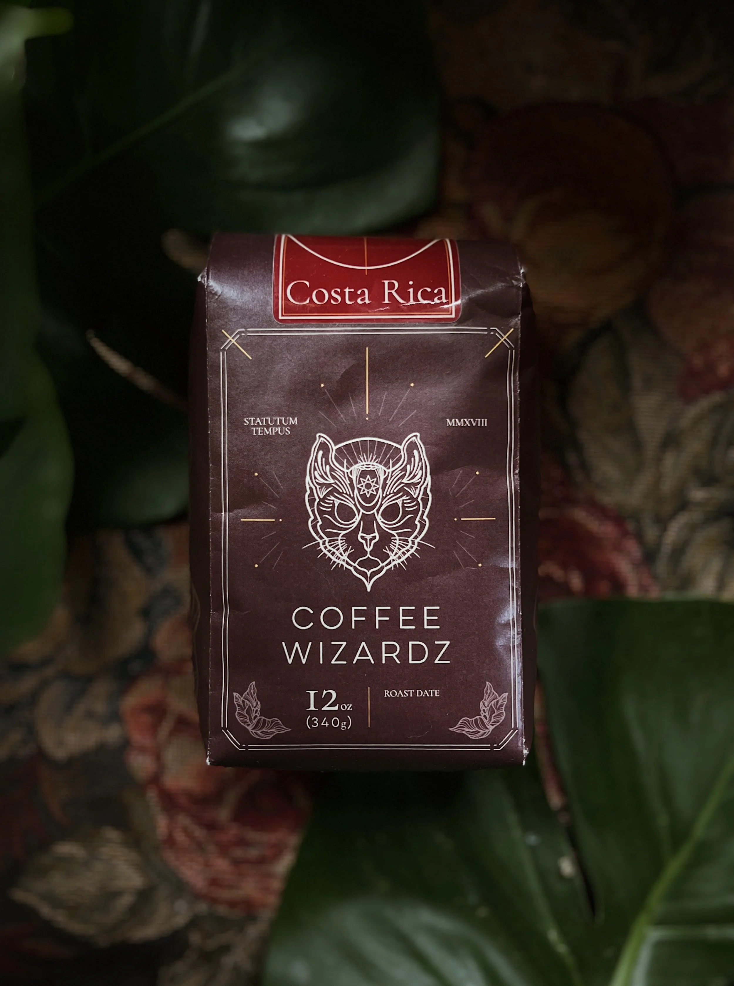 Wholesale — Coffee Wizardz