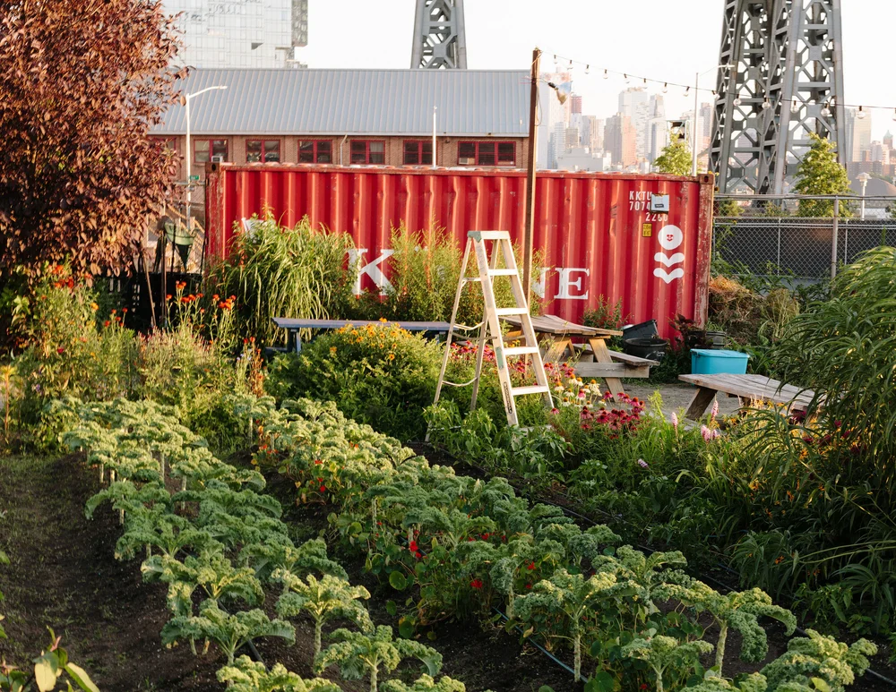 Provisions x North Brooklyn Farms — Provisions