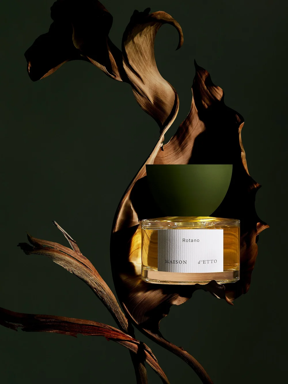 BOTANICAL BLISS by Joseph Saraceno — La Botanica