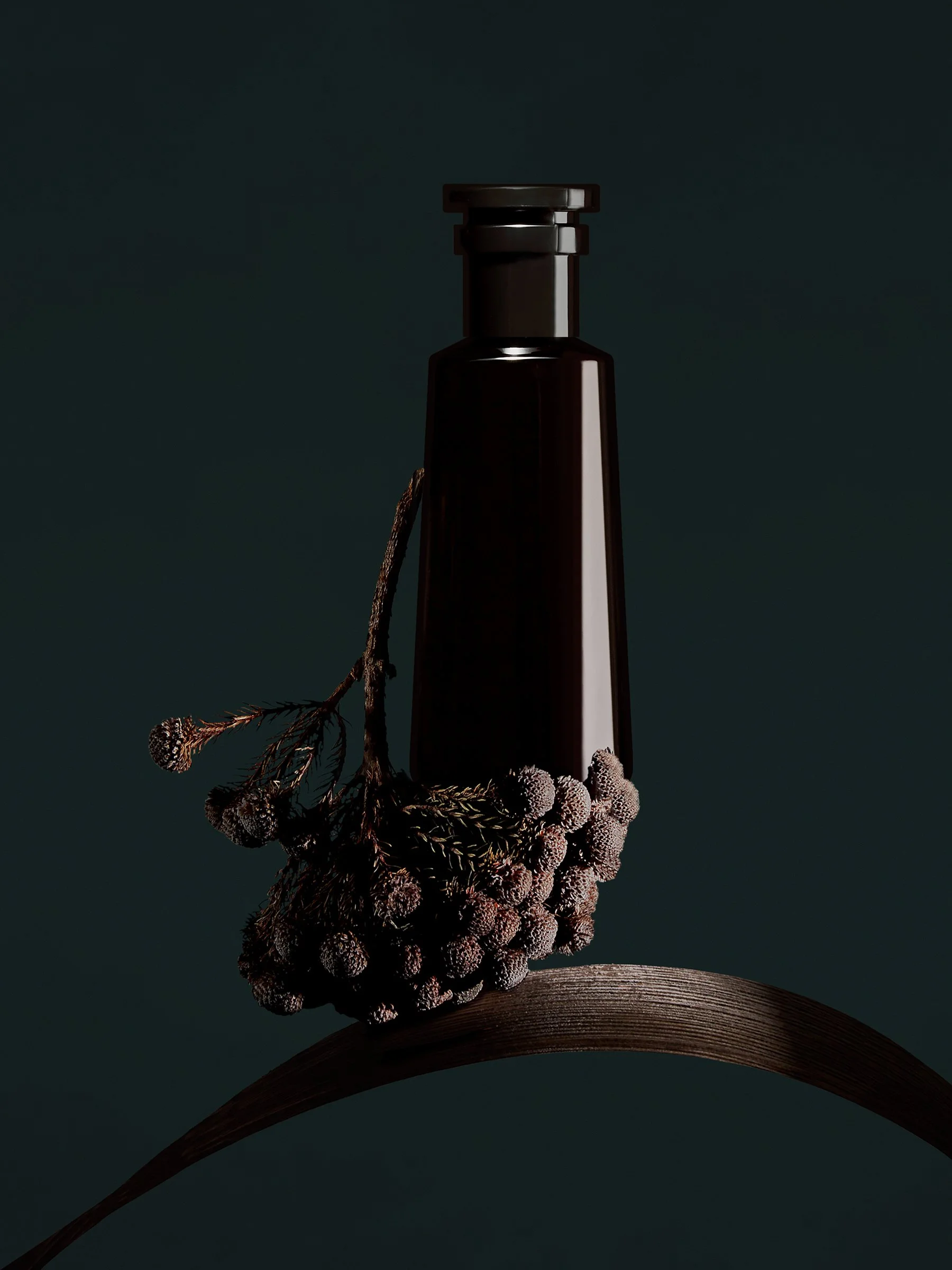 BOTANICAL BLISS by Joseph Saraceno — La Botanica