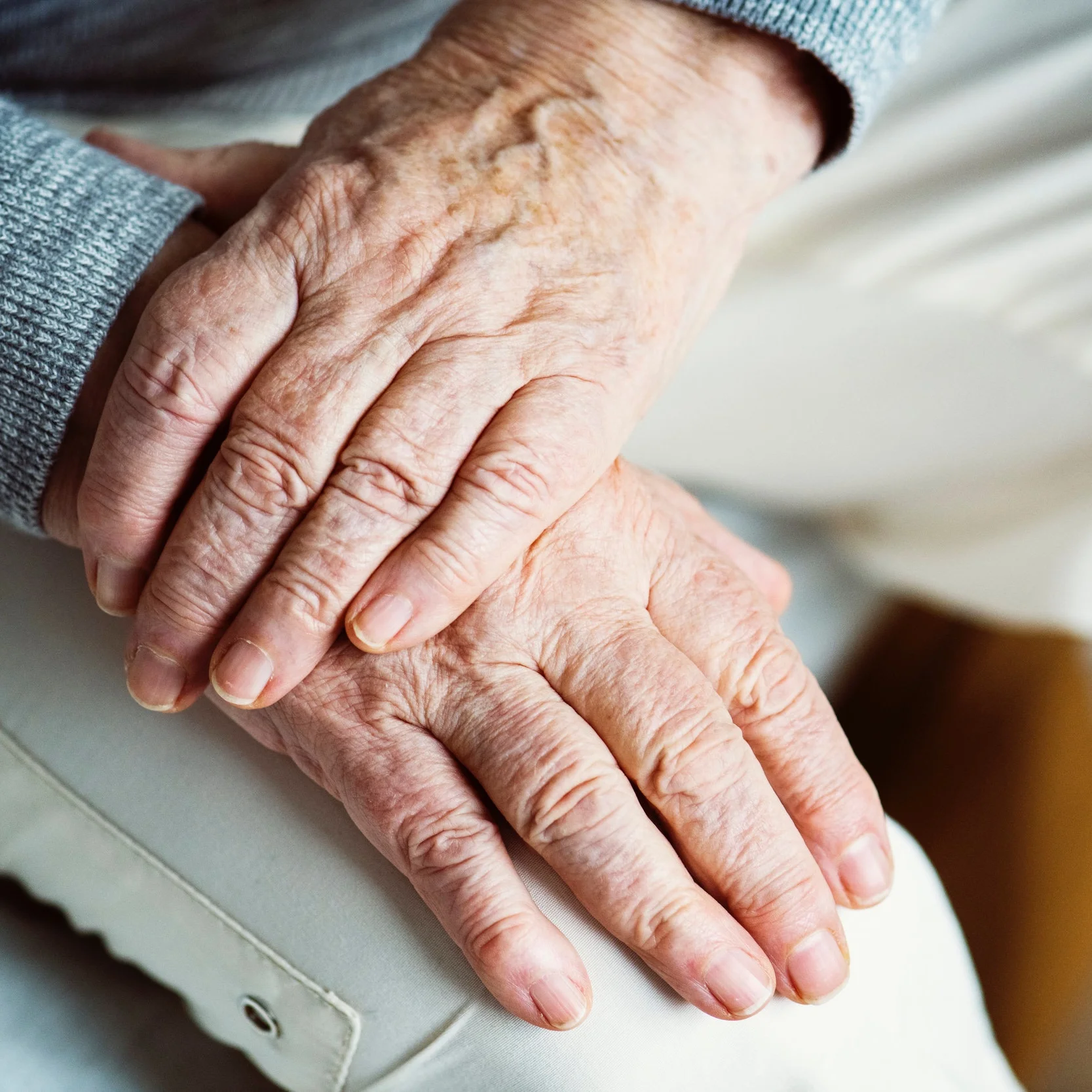 Senior Outreach Program — JCEO