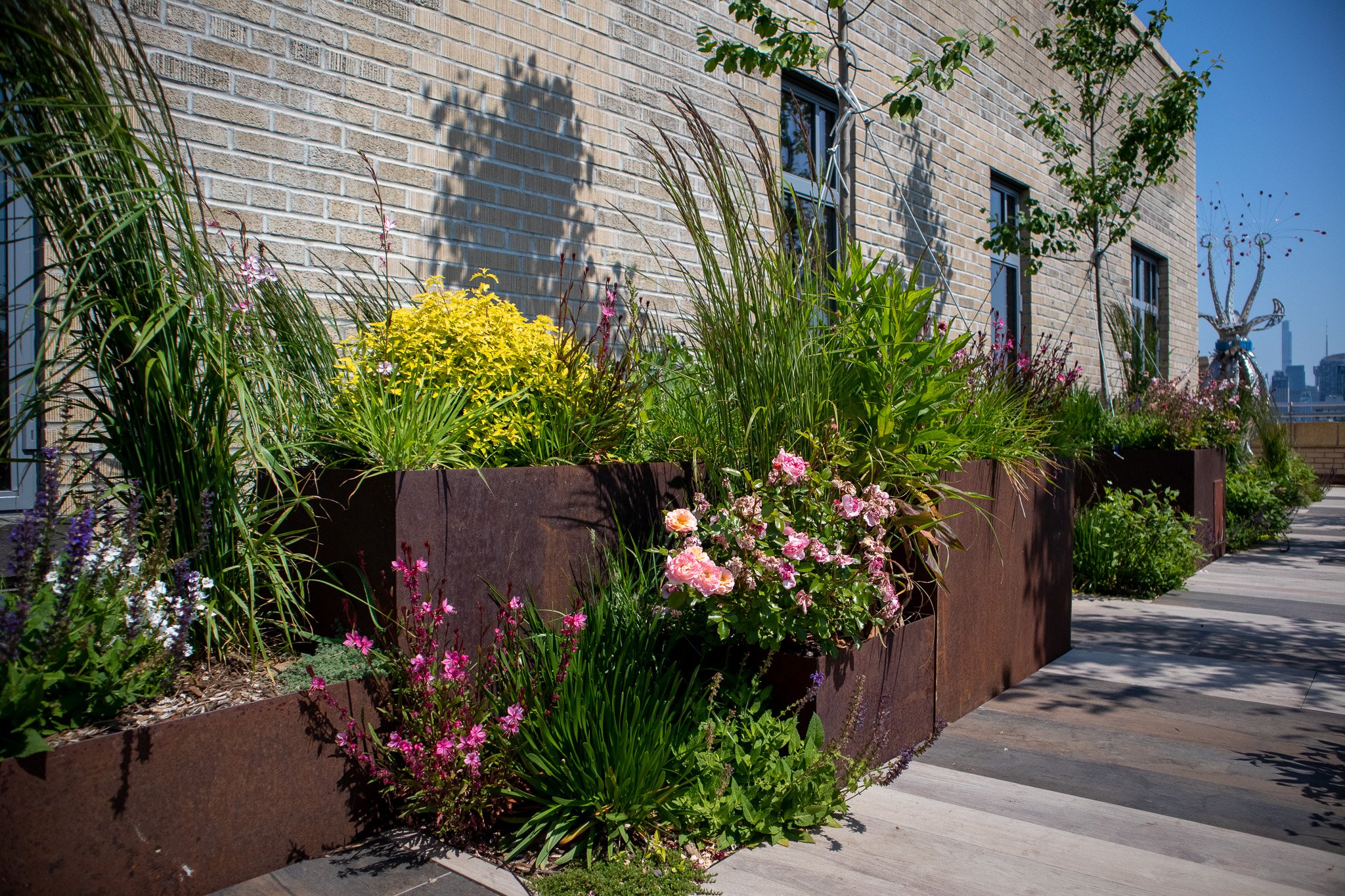 West Village Meadow — Blue Dahlia