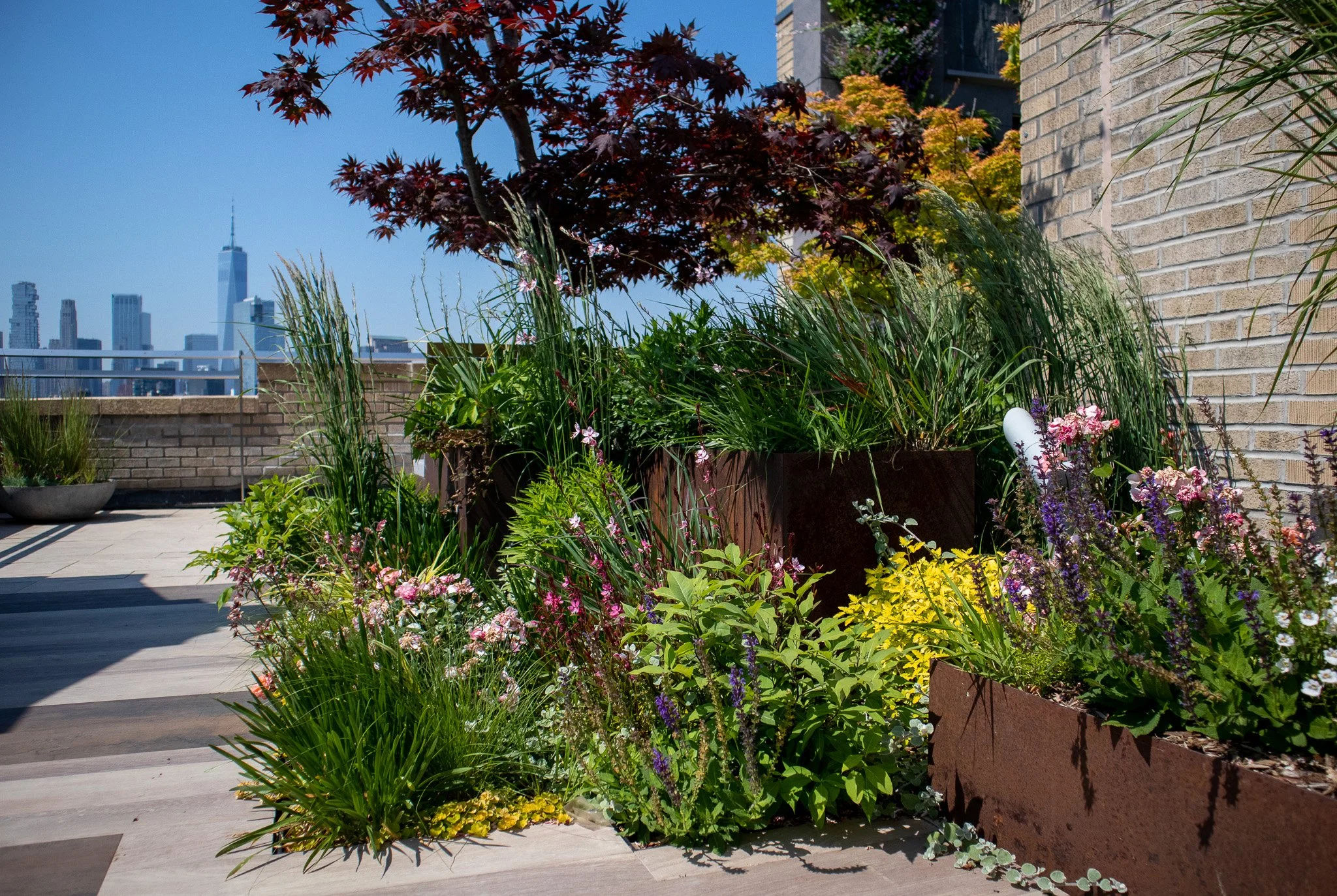 West Village Meadow — Blue Dahlia