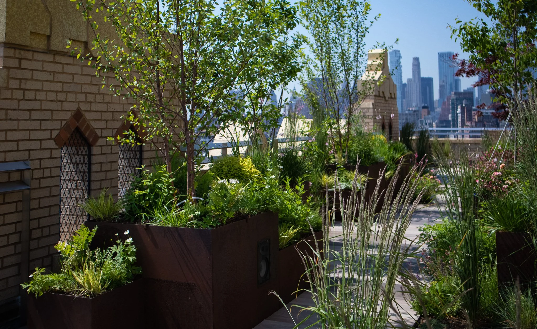 West Village Meadow — Blue Dahlia