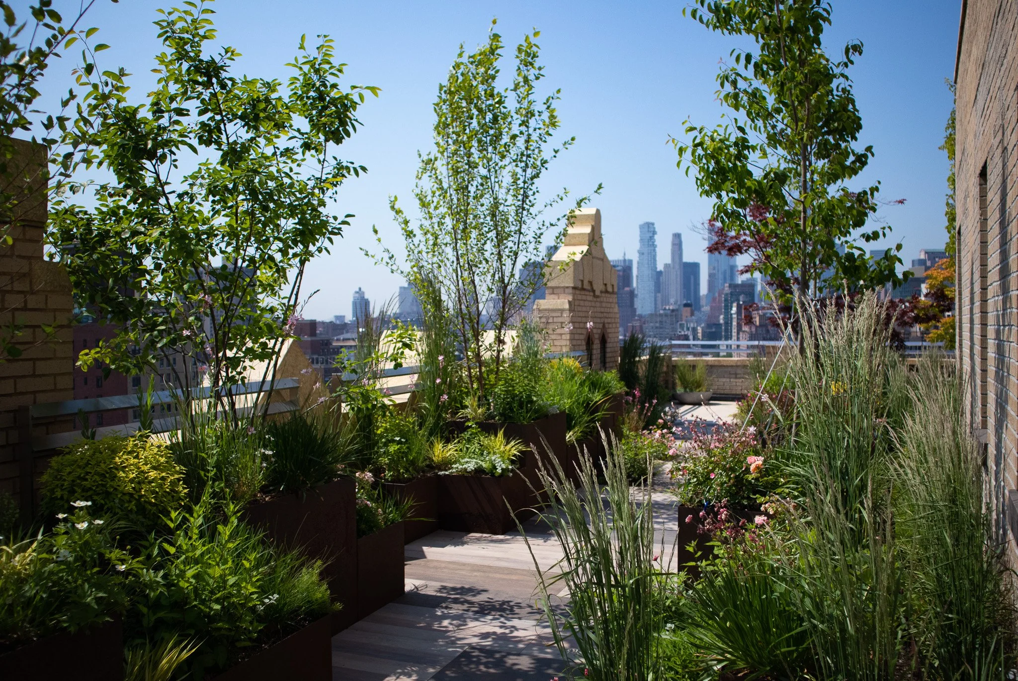 West Village Meadow — Blue Dahlia