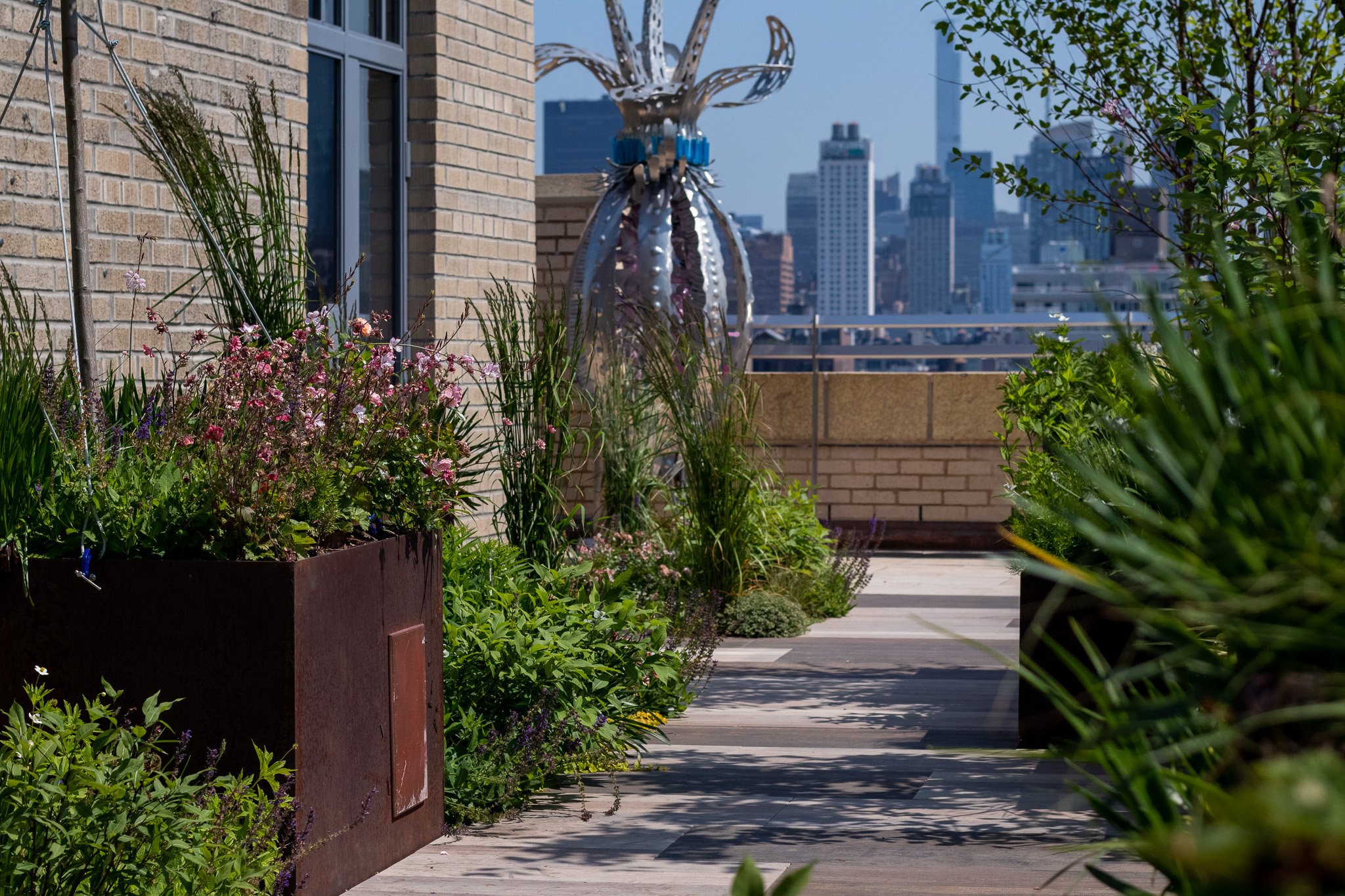 West Village Meadow — Blue Dahlia