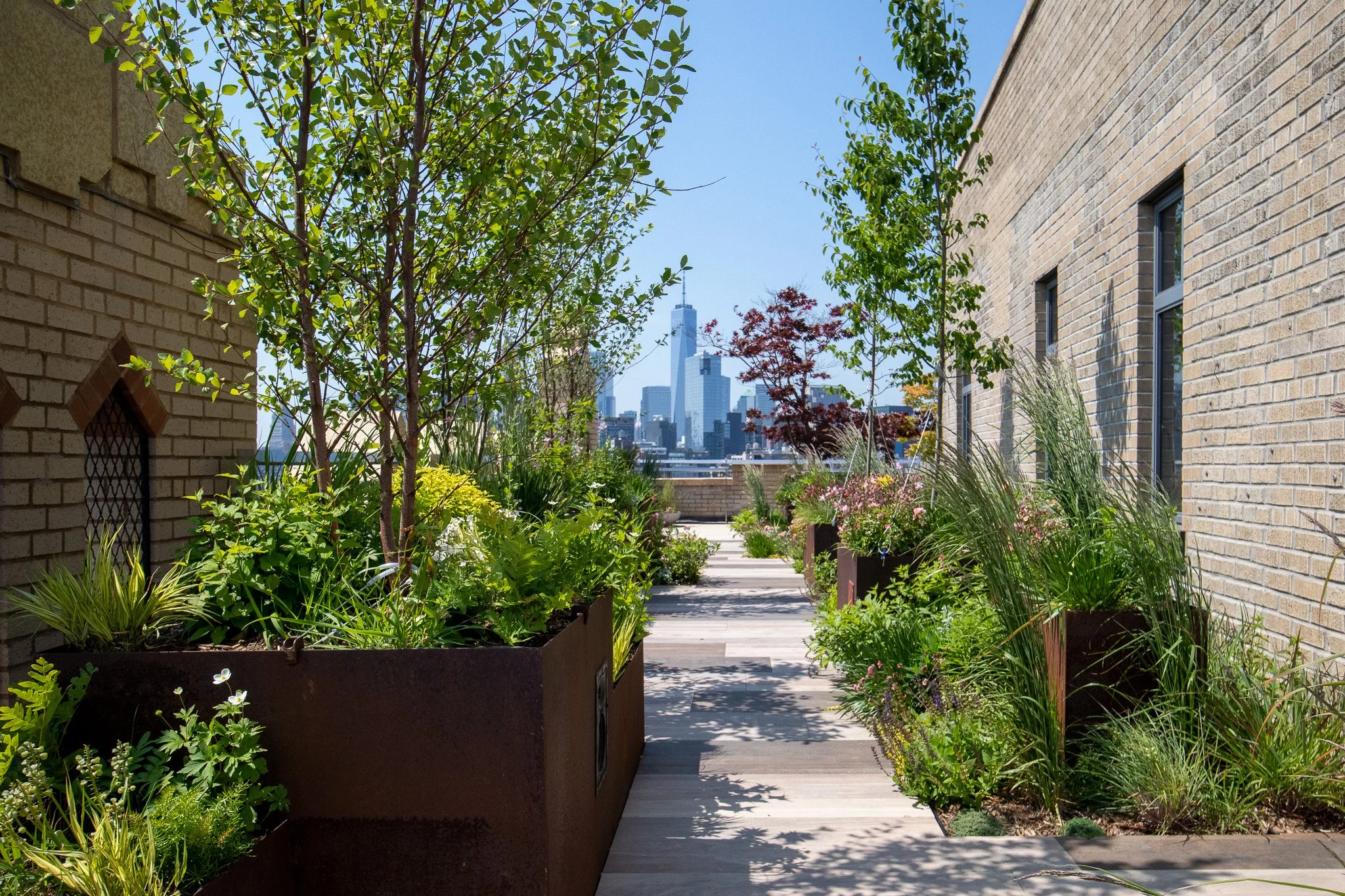 West Village Meadow — Blue Dahlia