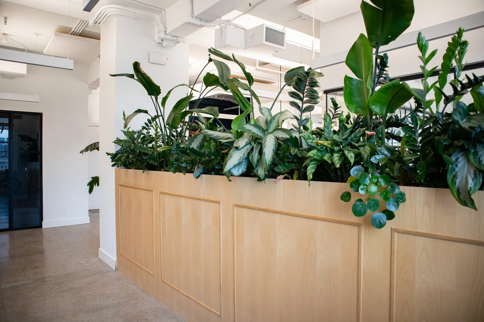 Union Square Office — Blue Dahlia