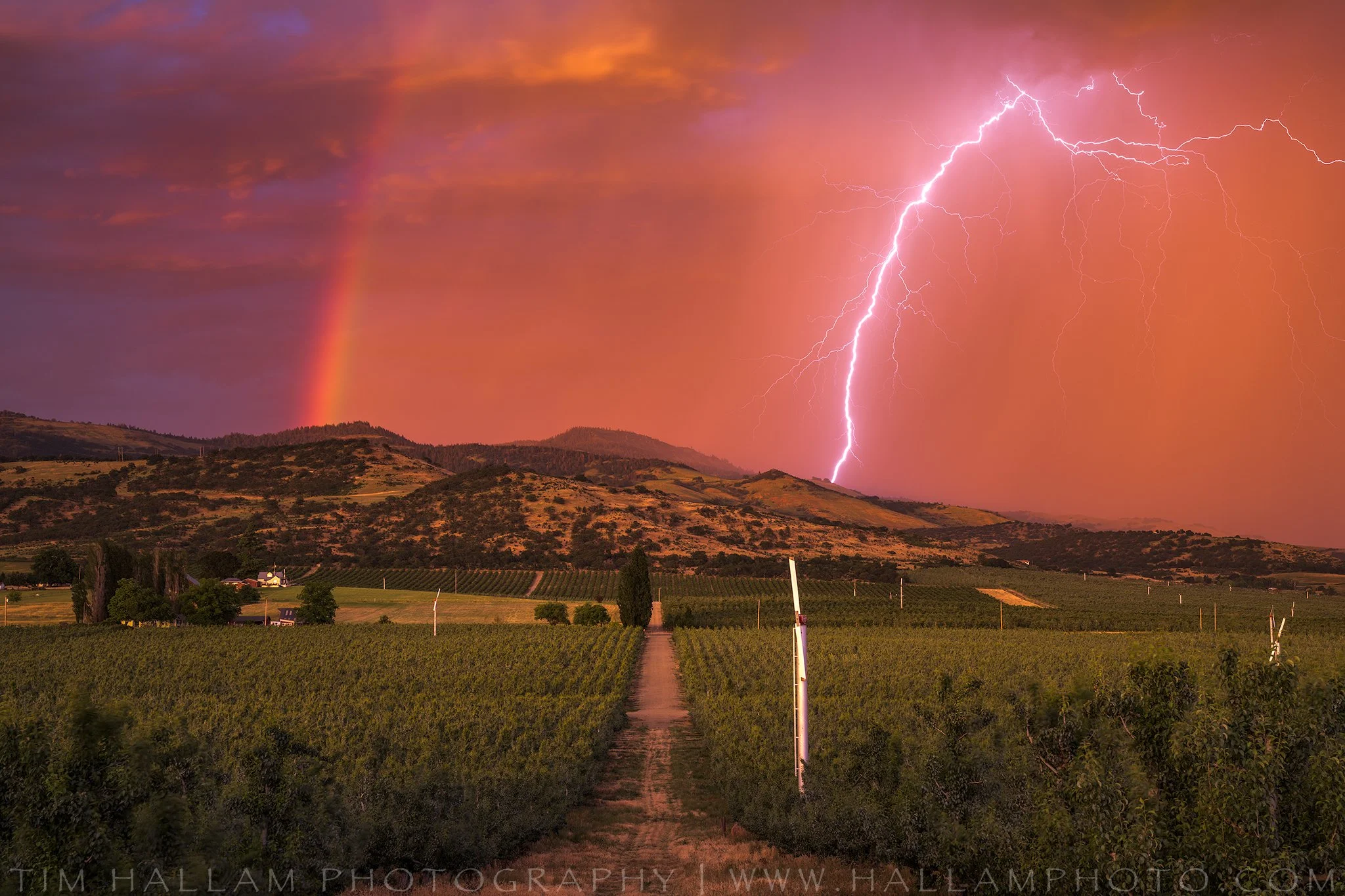 Lightning Storms At Sunset