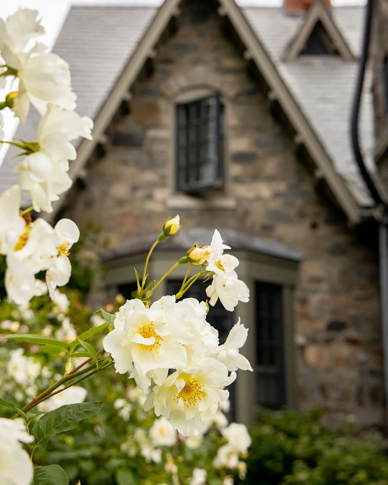 Keep in Touch — Hogfish