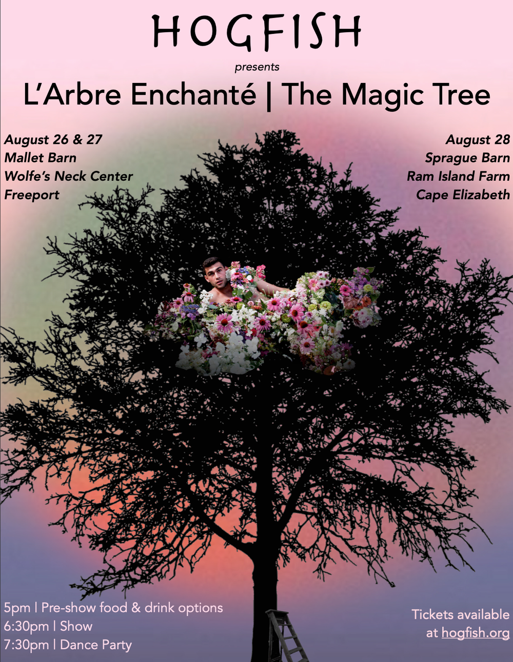 The Magic Tree — Hogfish