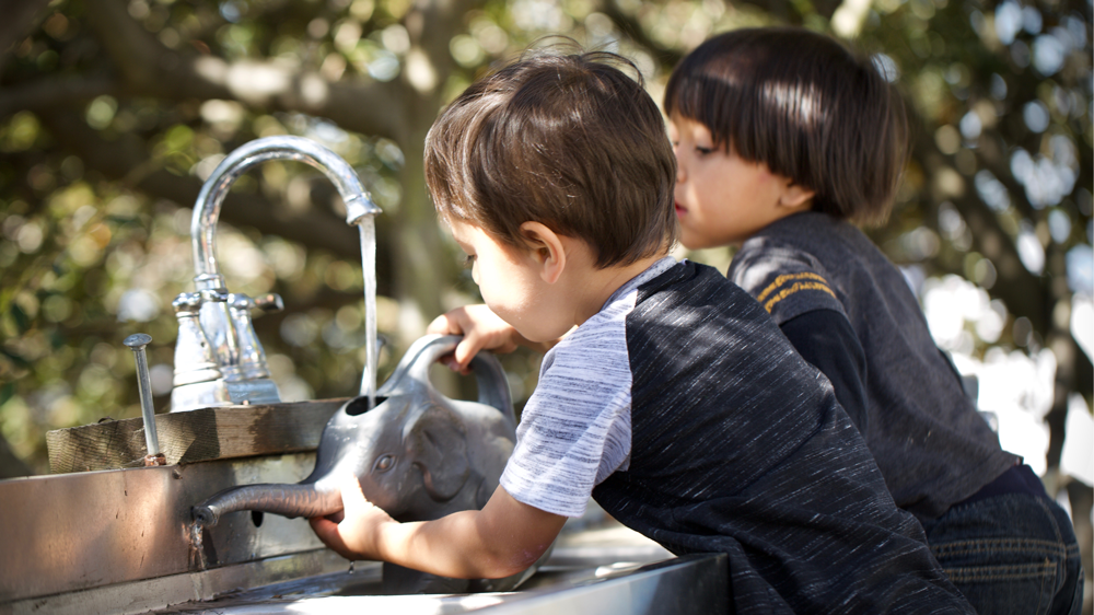 Tuition + Fees — STEP ONE SCHOOL