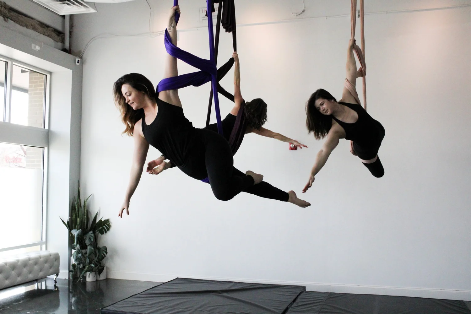 AERIAL SKILL LEVELS — PURA VIDA STUDIO